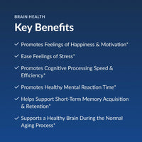 Brain Health Bundle
