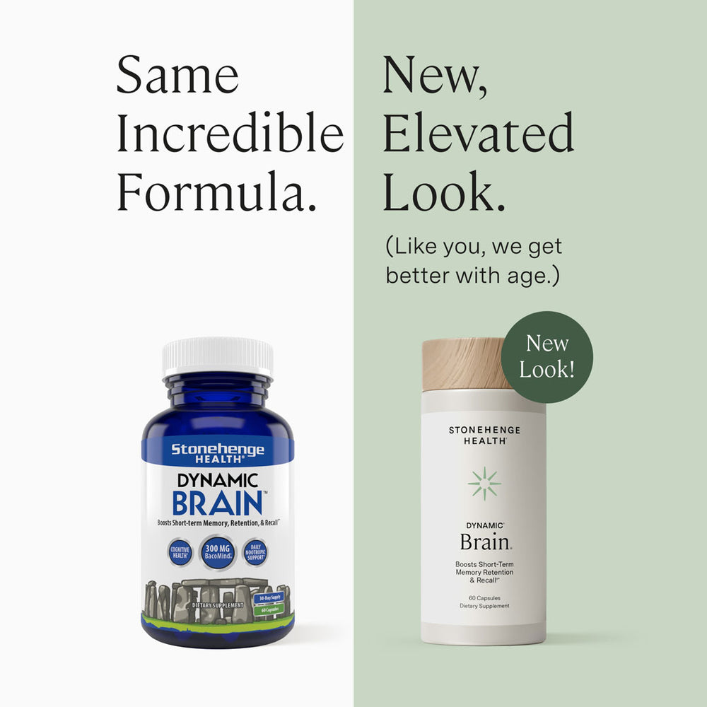 Dynamic Brain | Memory Supplement