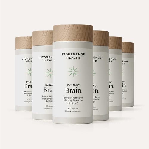 Dynamic Brain | Memory Supplement
