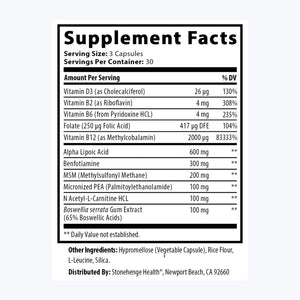 Dynamic Nerve | ALA Supplement